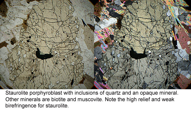 staurolite thin section ppl