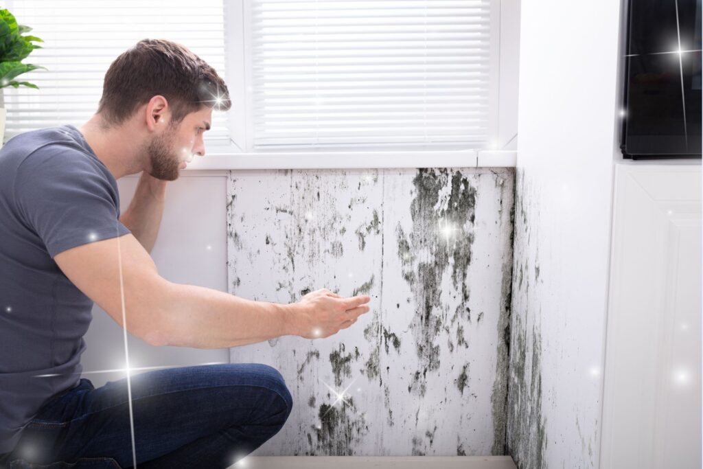 Does Mold Wipe Off Like Dust?